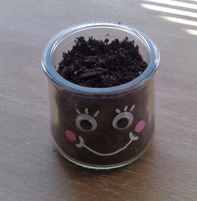 Edible Cress Hair Project – West Chester Green Team