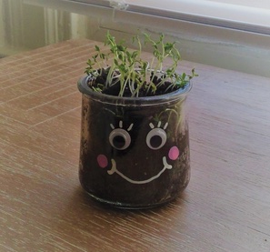 Edible Cress Hair Project – West Chester Green Team