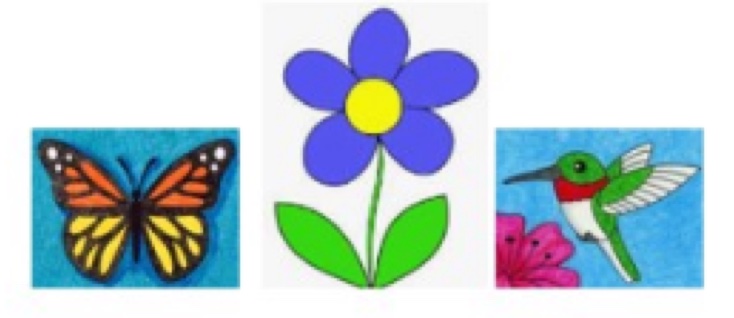 West Vincent Pollinator Pitstop Garden Program – West Chester Green Team